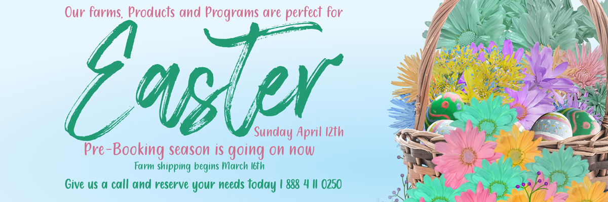 Growing and distributing fresh cut flowers to over 35 countries since ...