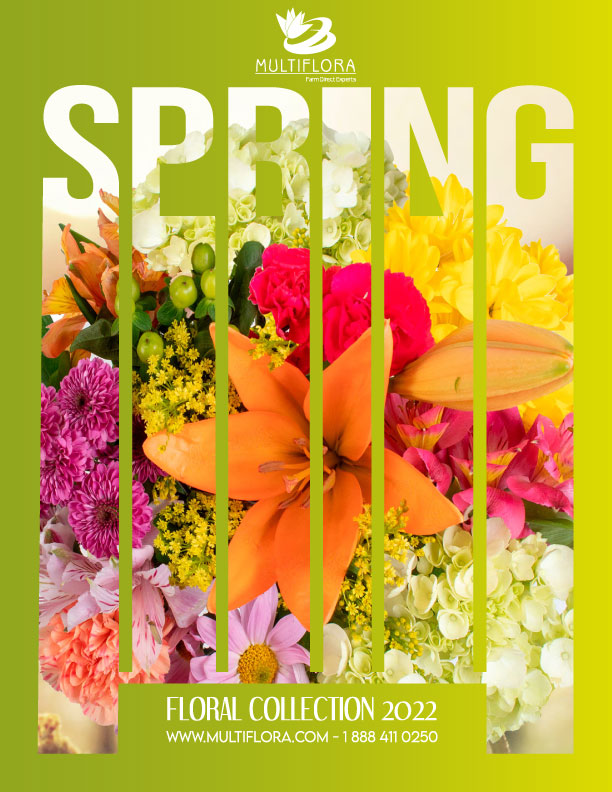 Catalogue | Multiflora