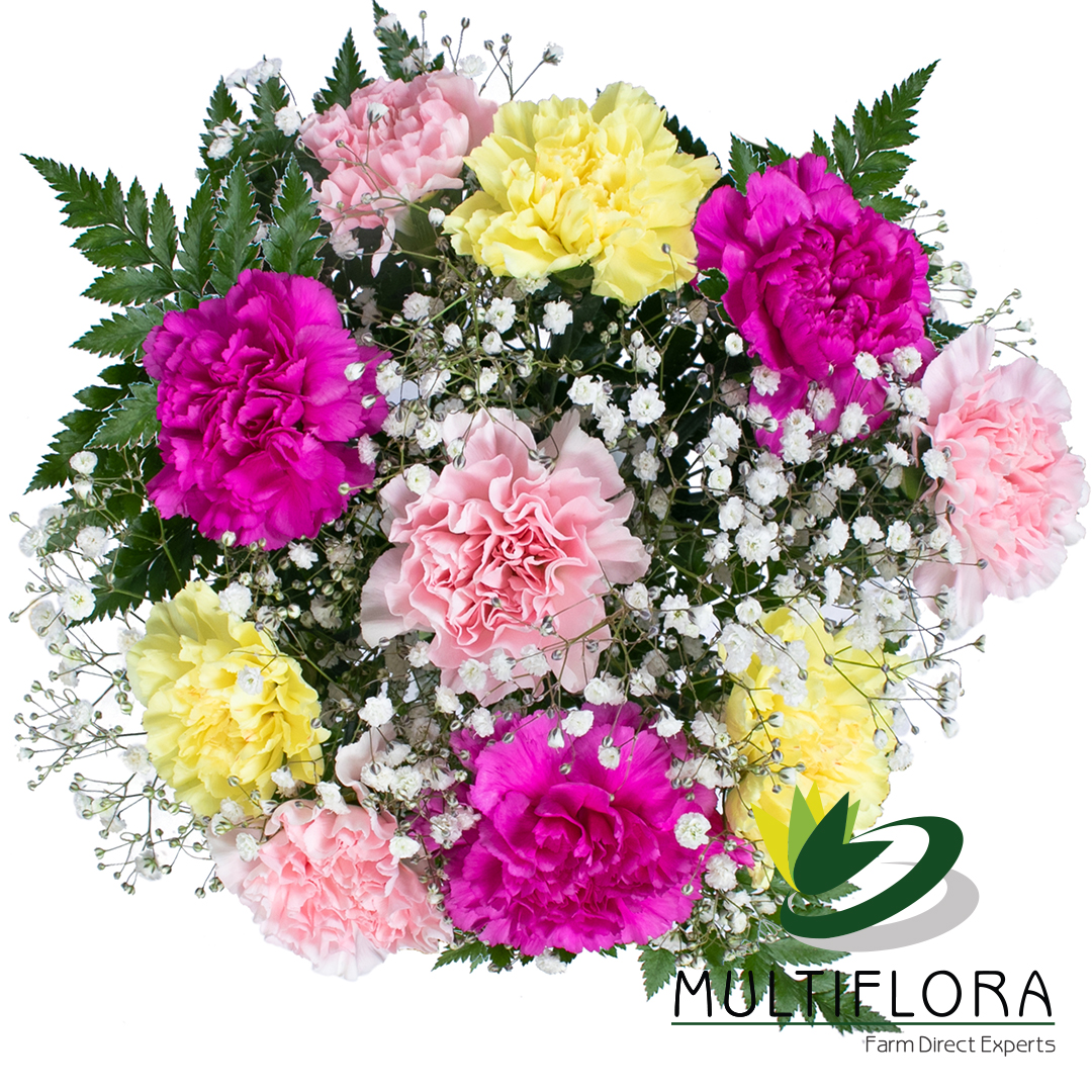 Products | Multiflora