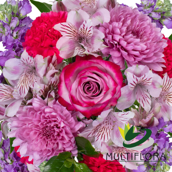 Products | Multiflora
