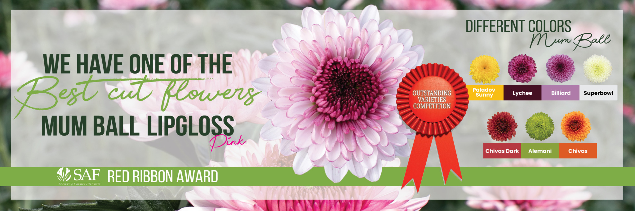 Growing and distributing fresh cut flowers to over 35 countries since ...